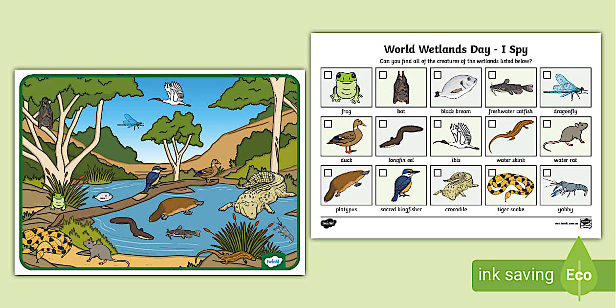 World Wetlands Day - I Spy (teacher made) - Twinkl