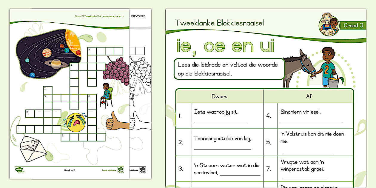 Graad 3 Klanke Blokkiesraaisel ie, oe, ui (teacher made)