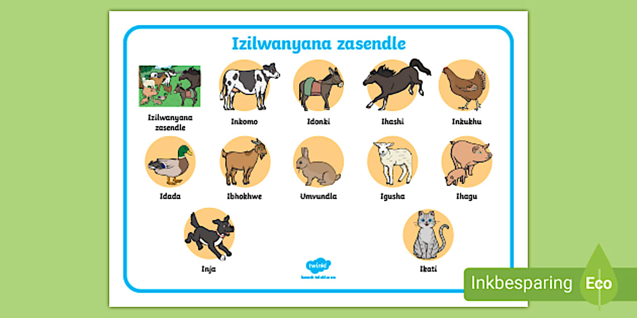 Learn Farm Animals In isiXhosa | Word Mat | Foundation Phase
