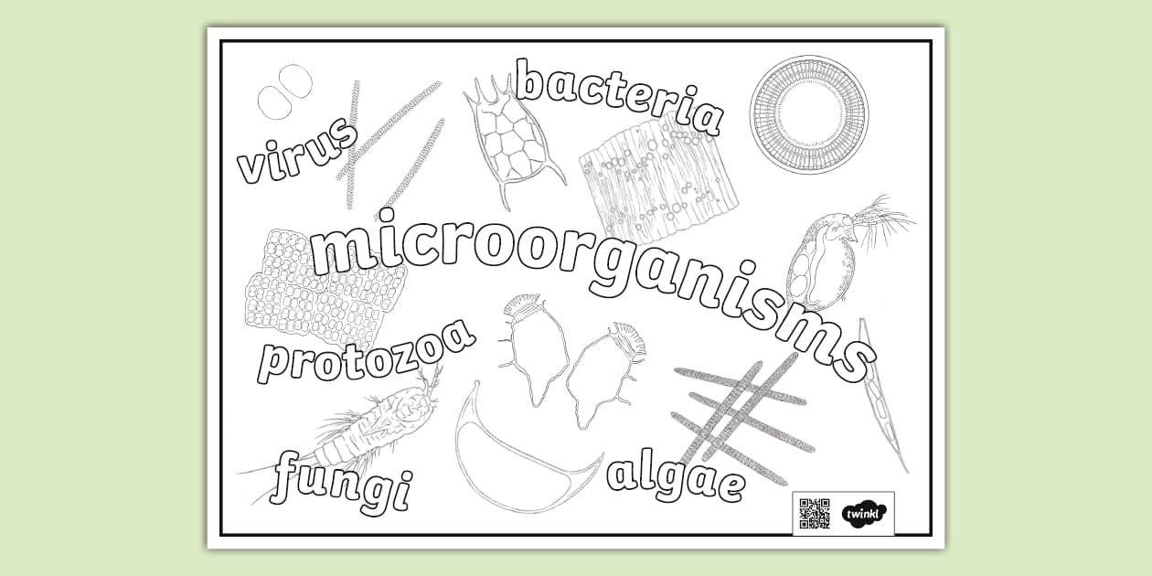 Microorganisms Colouring Doodles Sheet - Twinkl