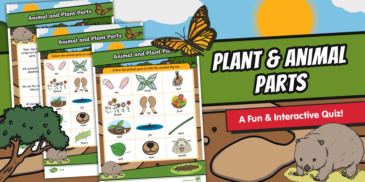 Animal and Plant Parts Quiz Activity