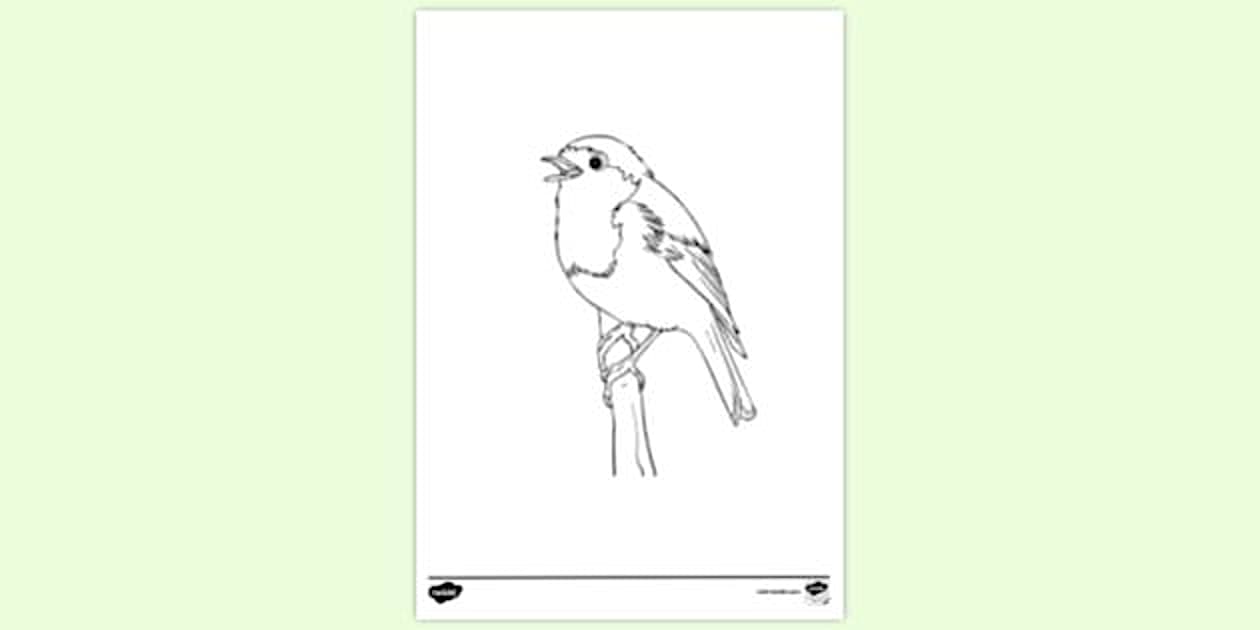 Birds in Winter Colouring Page | Colouring Sheets - Twinkl