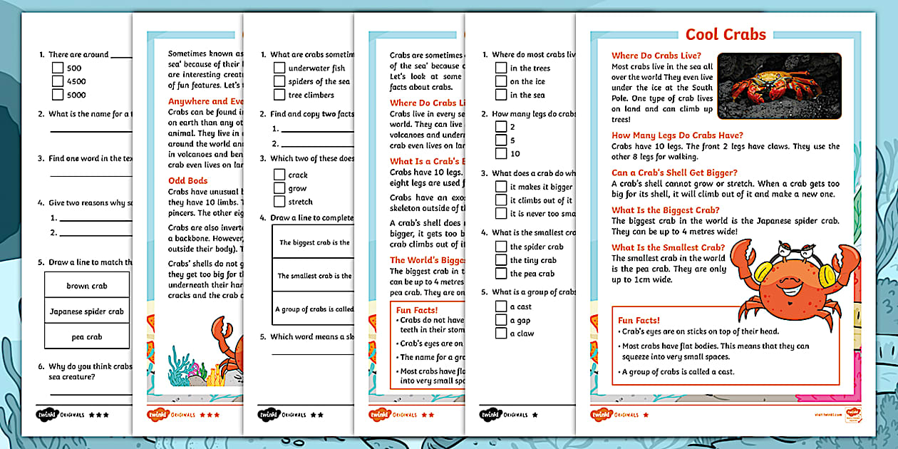 Year 2 Cool Crabs Non-Fiction Reading Comprehension Activity