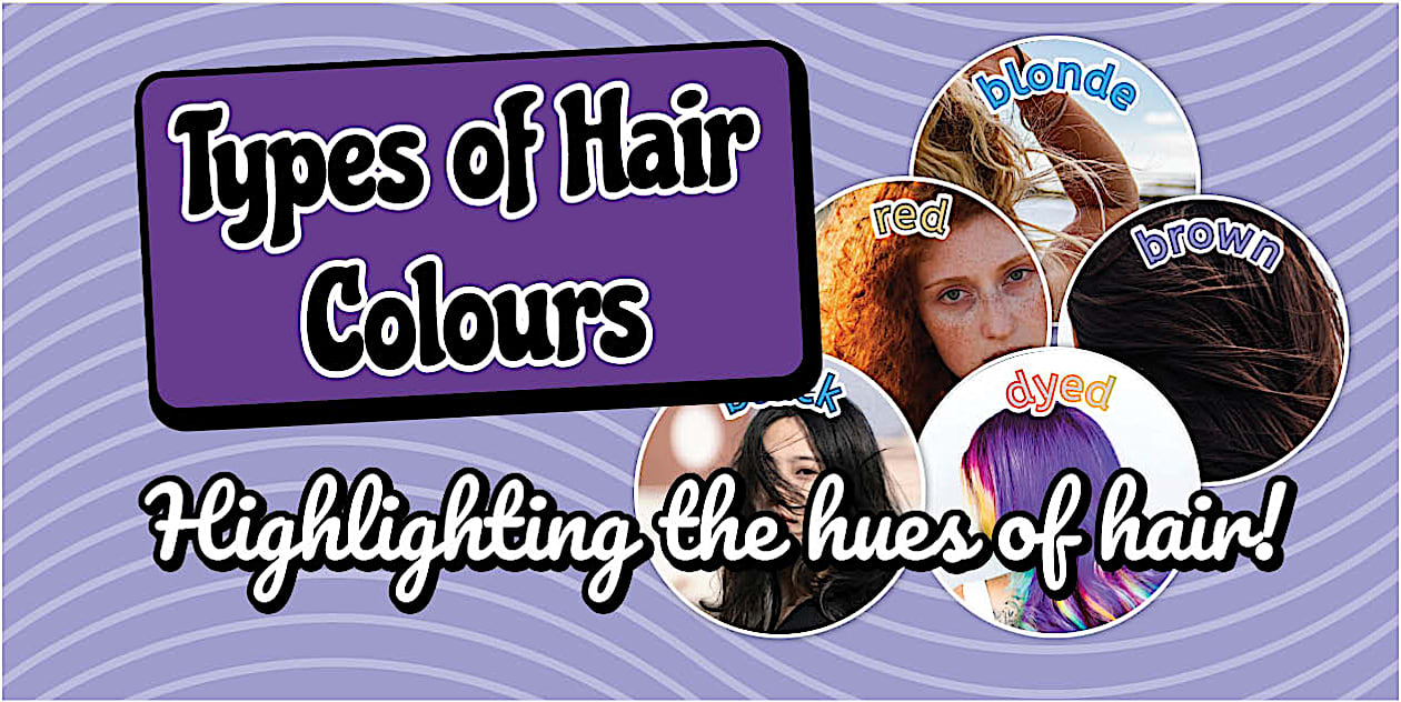 Types of Hair Colors Circle Display Photo Cut-Outs