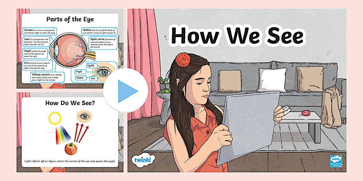 How We See PowerPoint - Primary Education Science - Twinkl