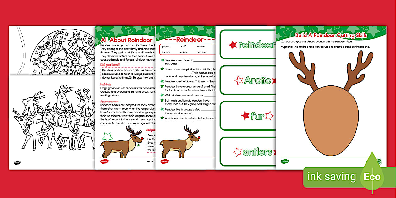 Editable Christmas in Canada Reindeer Primary Pack - Twinkl