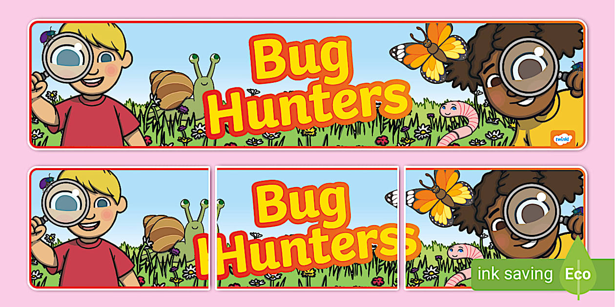 Bug Hunters Display Banner (teacher made) - Twinkl