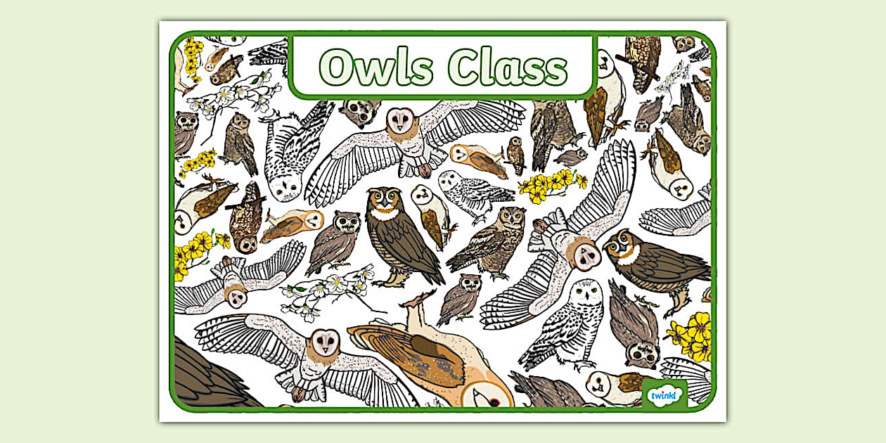 Owls Class Display Poster (Teacher-Made) - Twinkl