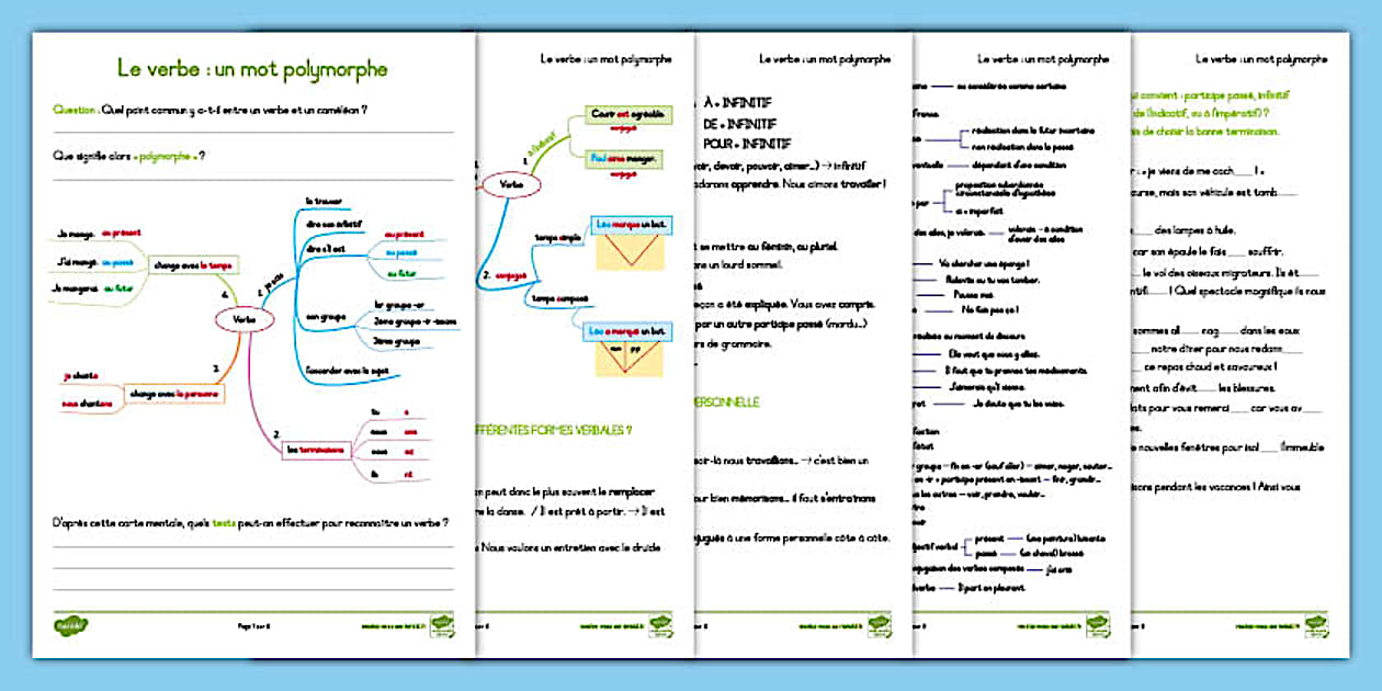 Le verbe : un mot polymorphe (professor feito) - Twinkl