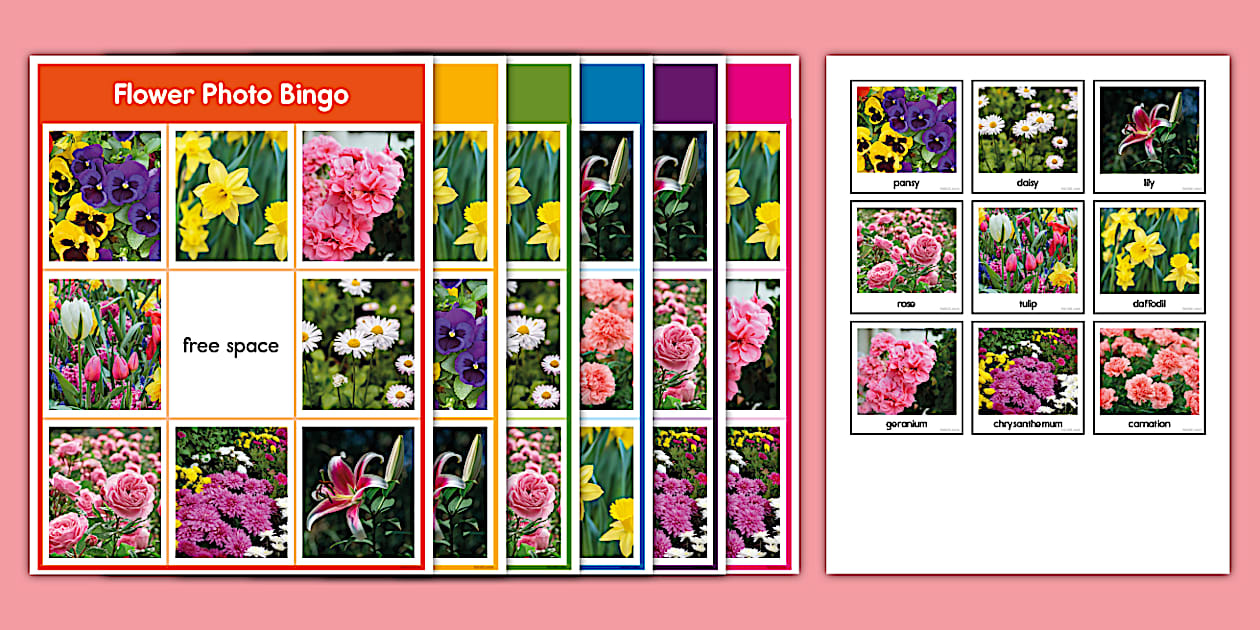 Flower Photo Bingo (Teacher-Made) - Twinkl