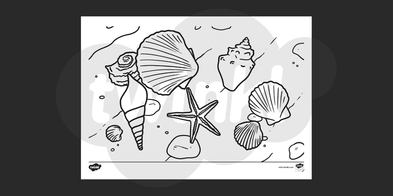seashell coloring sheet printable
