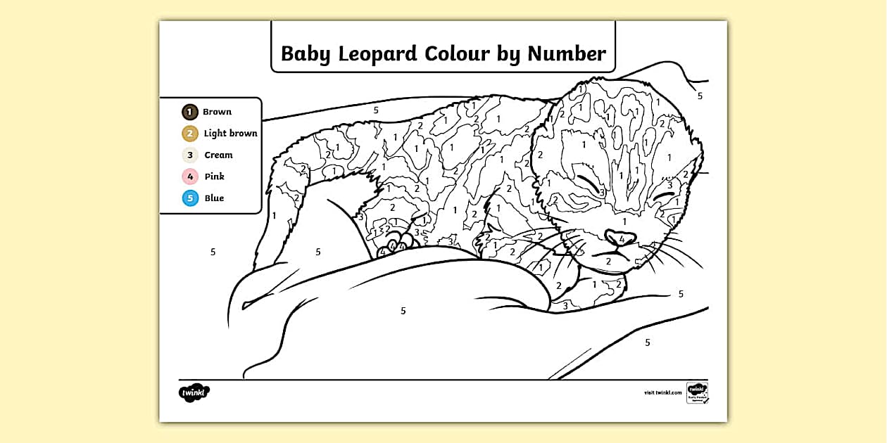 Baby Leopard Colour-by-Number Worksheet | Twinkl | KS1