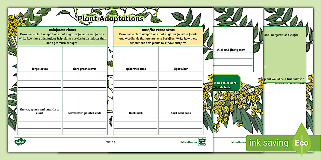 Plant Adaptations Worksheets (Teacher-Made) - Twinkl