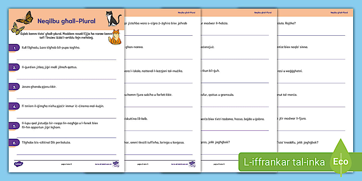 Il-Grammatika l Karta tat-Taħriġ: Il-Plural l Twinkl