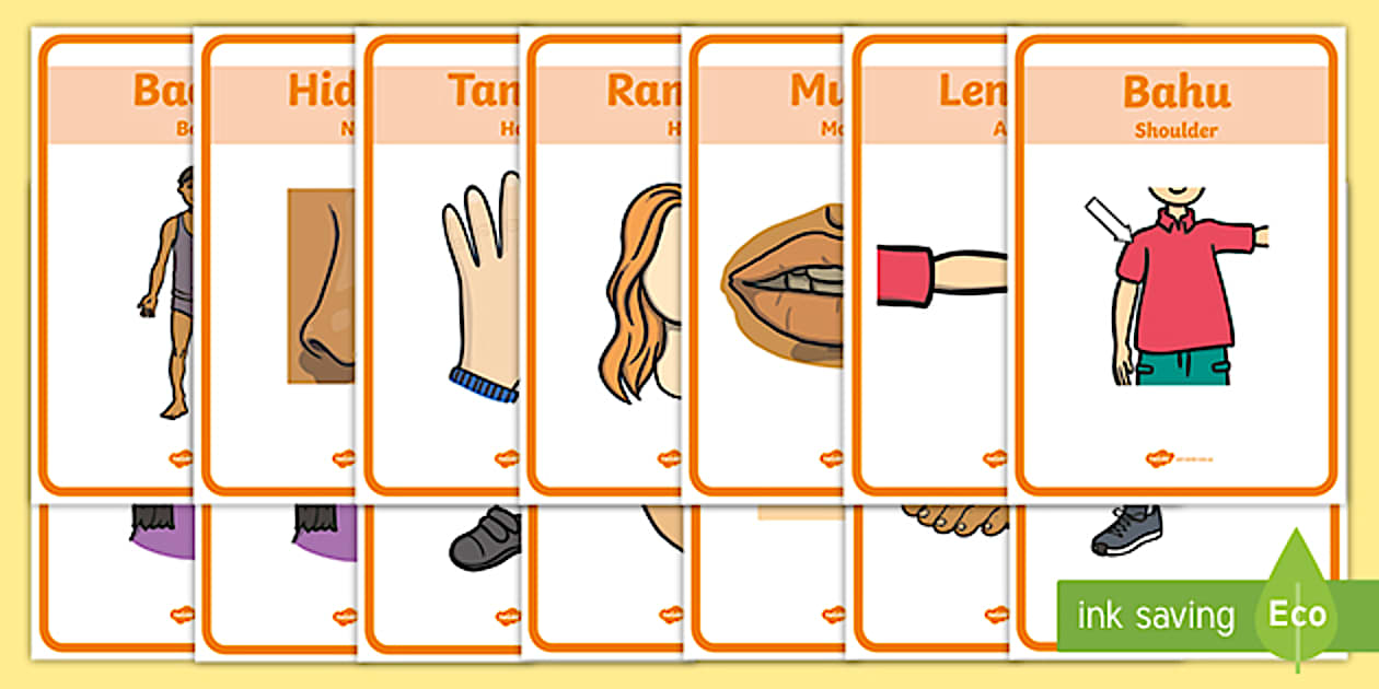 My Body Display Posters (teacher made) - Twinkl