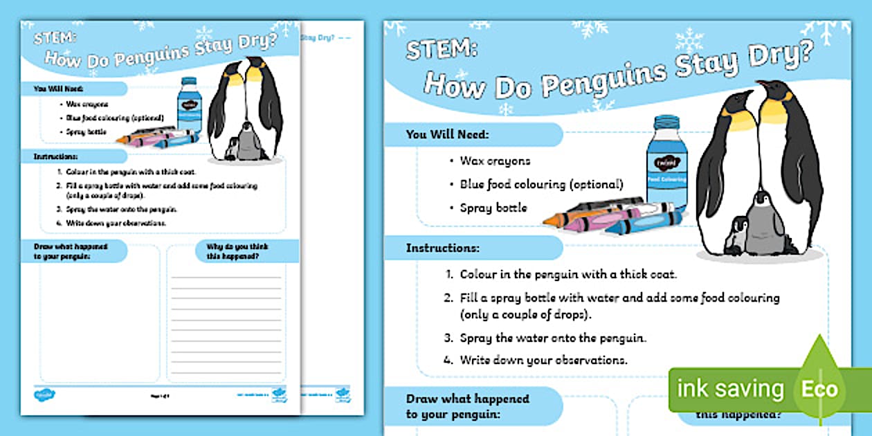 STEM: How Do Penguins Stay Dry? - Twinkl