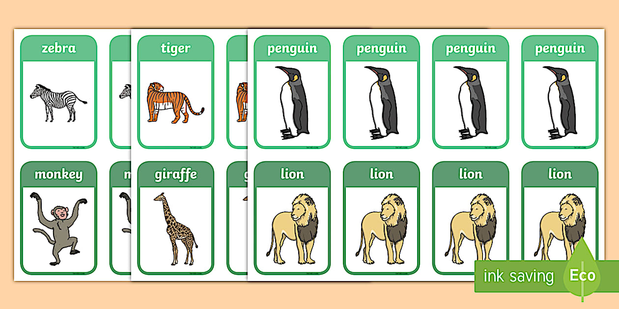 Zoo Vocabulary Snap Cards (Teacher-Made) - Twinkl