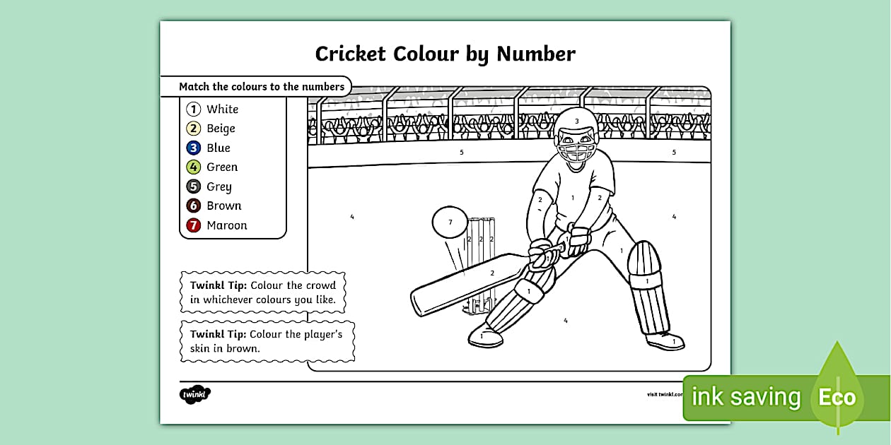 Cricket Colour By Number Resource | Colour by Number