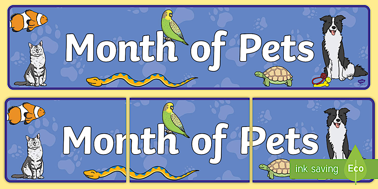 KS1 Month of Pets Display Banner (Teacher-Made) - Twinkl