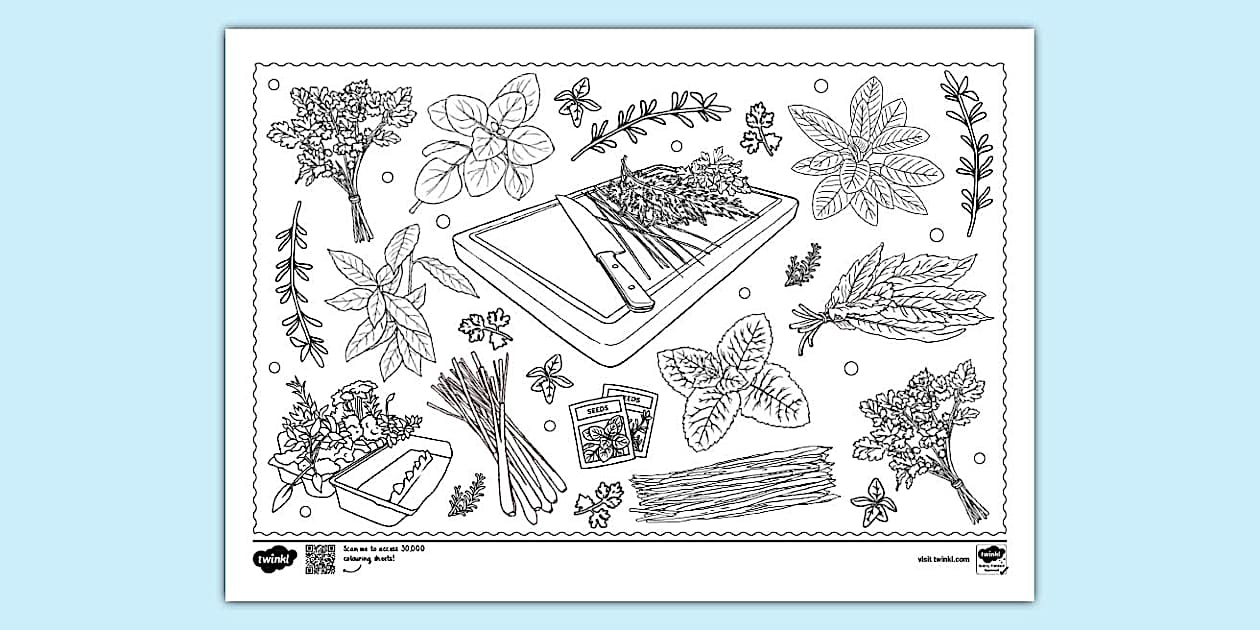 * NEW * Herb Garden Doodle Colouring Page (teacher made)