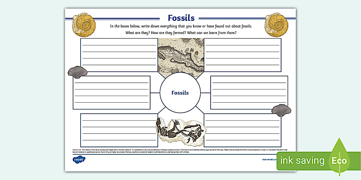 Fossils Mind Map Fossils Research Teacher Made Twinkl