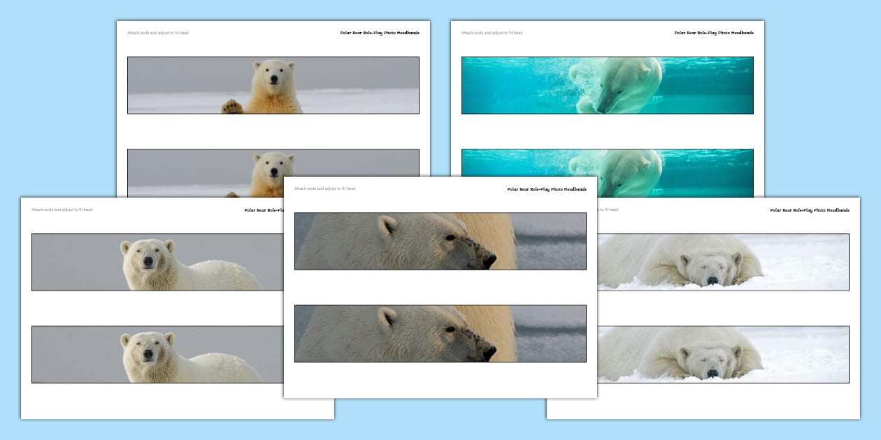 Polar Bear Role-Play Photo Headbands (teacher made) - Twinkl