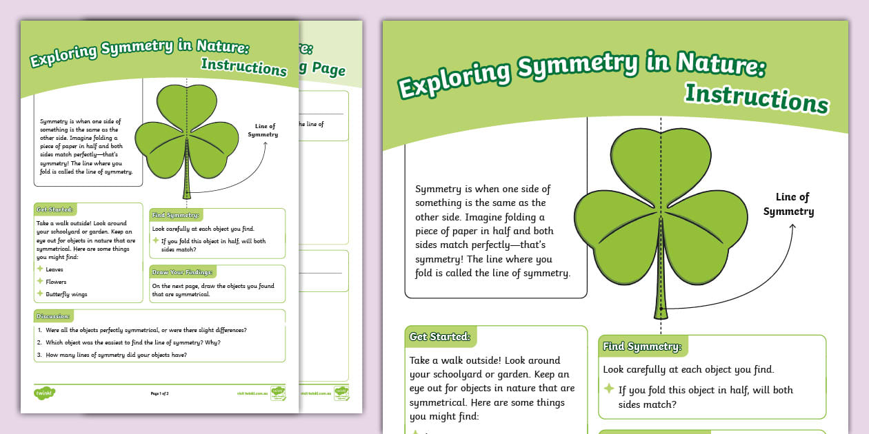 Outdoor Maths: Exploring Symmetry in Nature - Twinkl