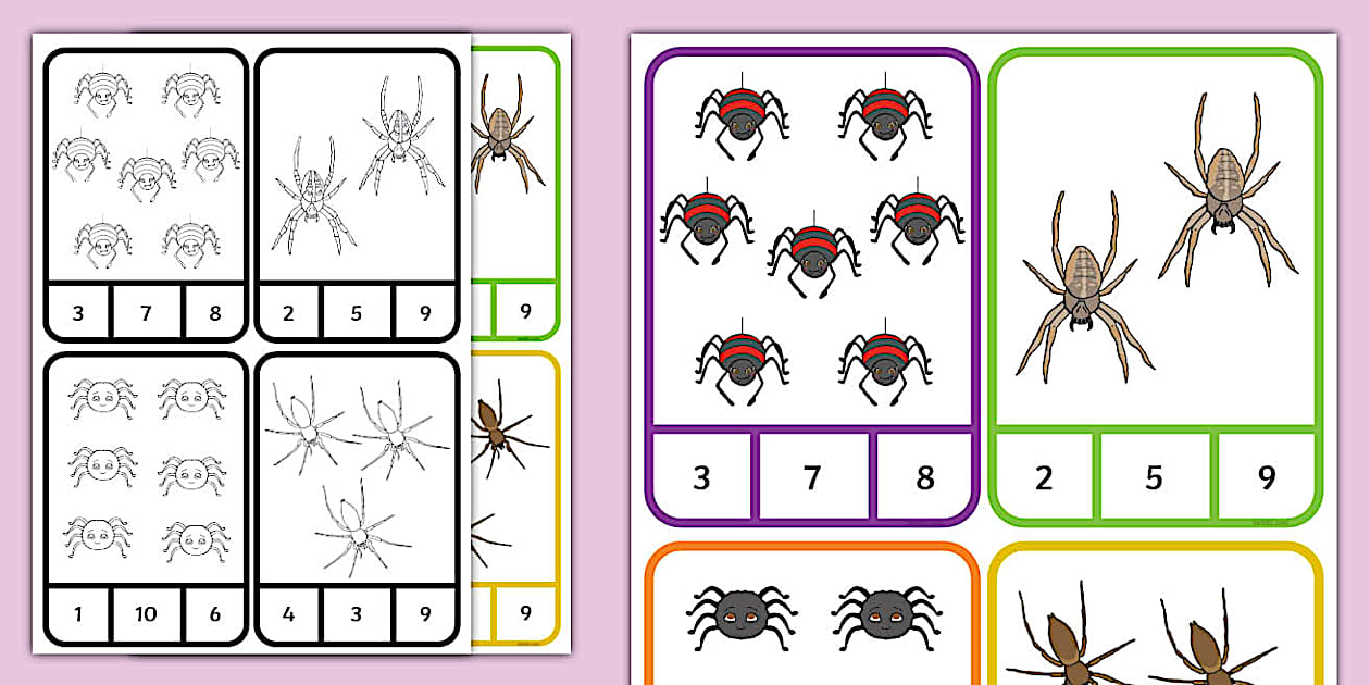 👉 Spider Peg Counting Activity (teacher made) - Twinkl