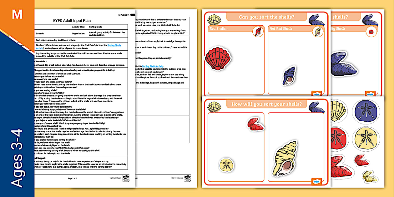 EYFS Sorting Shells Adult Input Plan and Resource Pack