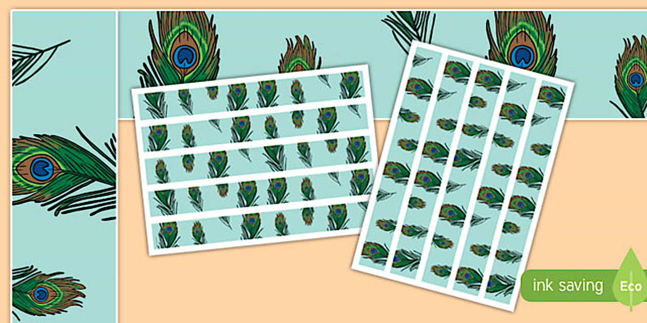Peacock Border Design for Bulletin Boards | Twinkl USA