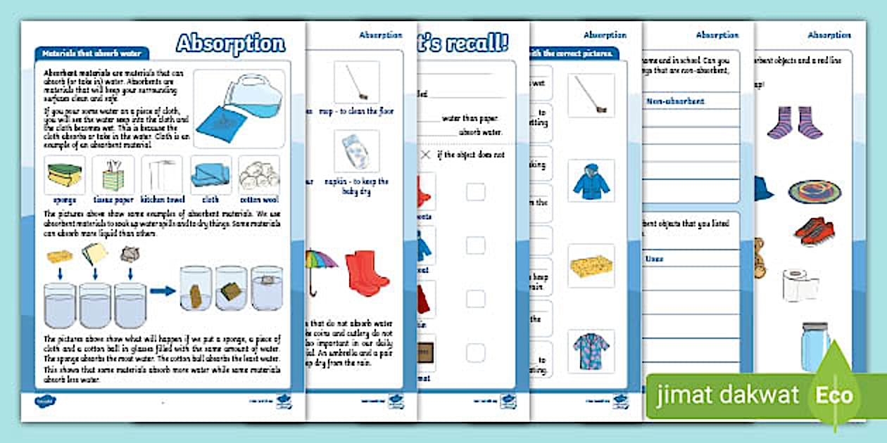Year 1 Science Absorption Revision Notes and Worksheet