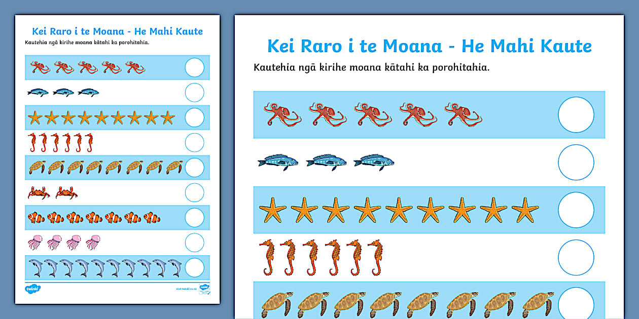 Kei Raro i te Moana - He Mahi Kaute (teacher made) - Twinkl