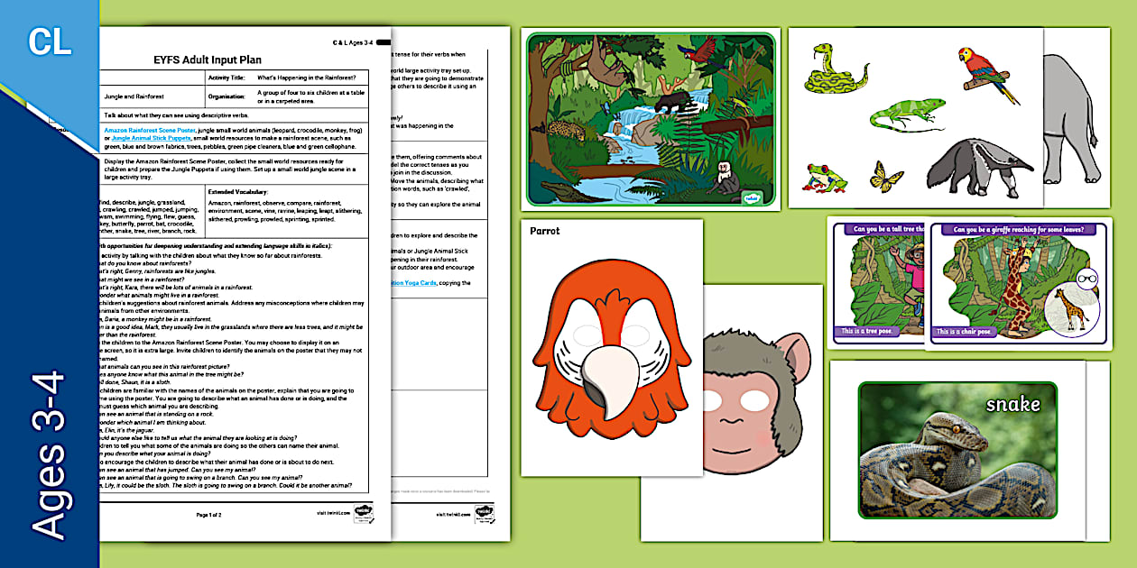 EYFS What's Happening in the Rainforest? Adult Plan Pack