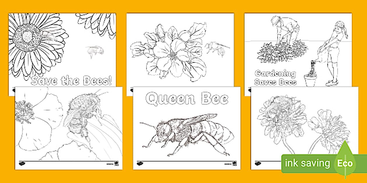 Save the Bees Colouring Pages - World Bee Day Resources