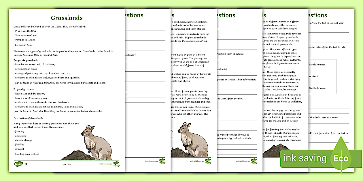 Planet Earth | Grasslands Worksheets and Answers | Twinkl