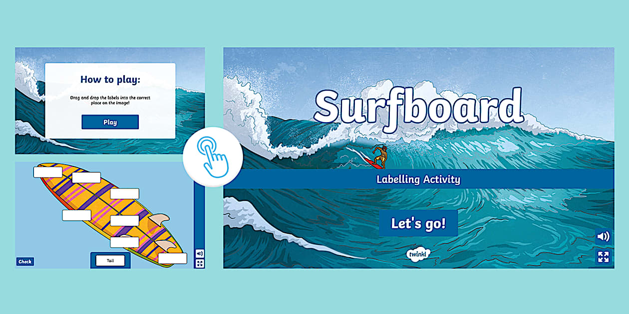 Surfboard Interactive Labelling Activity - Twinkl