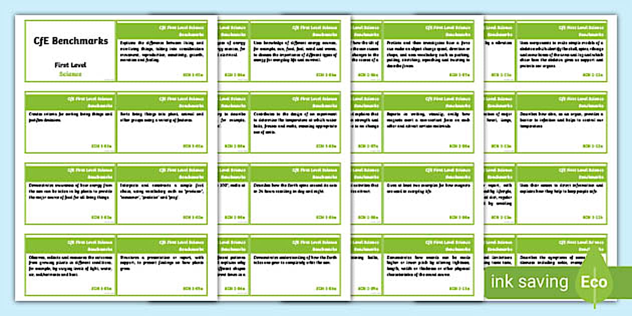 CfE First Level Science Lanyard-Sized Benchmarks - Twinkl