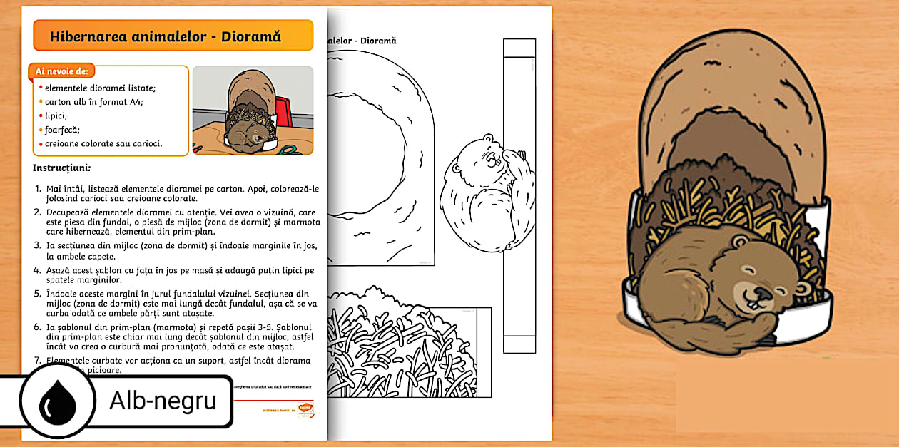 Hibernarea animalelor – Dioramă (teacher made) - Twinkl