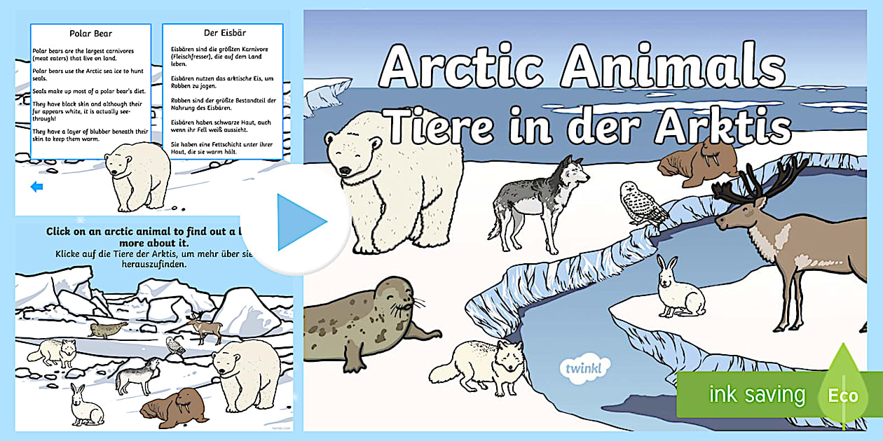 Winter Arctic Animals Habitat PowerPoint English/German