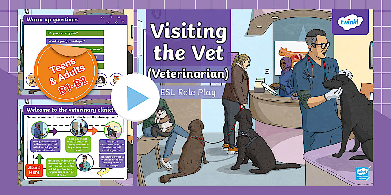 ESL Visiting the Vet Role Play [Teens, B1-B2] (teacher made)