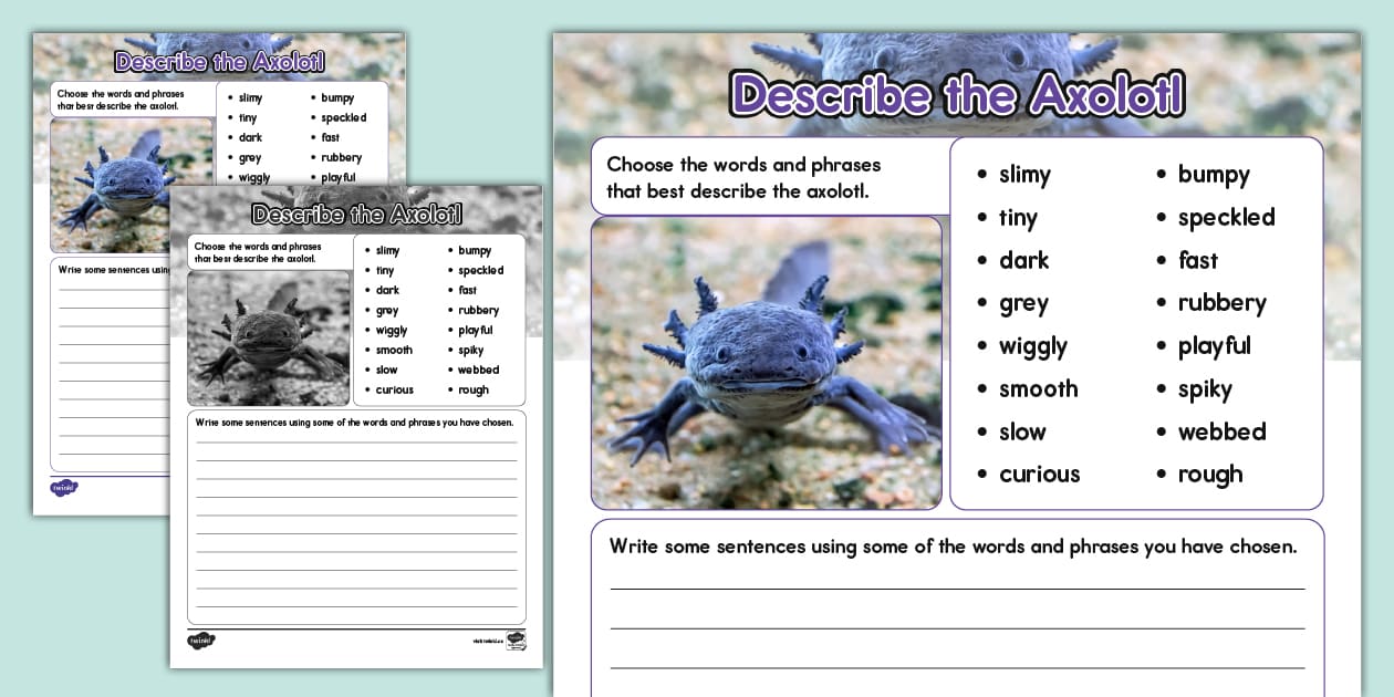 Describe the Axolotl Worksheet (Teacher-Made) - Twinkl