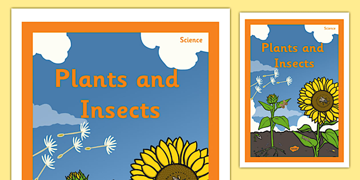 Plants and Insects Book Cover (teacher made) - Twinkl