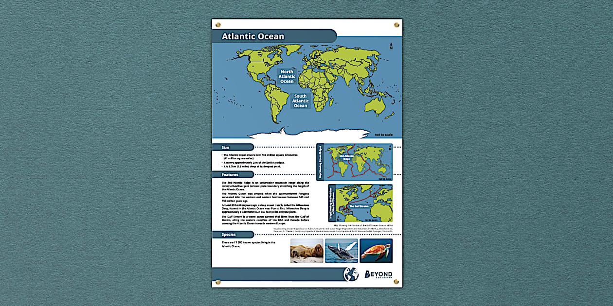 Marine Biomes: Atlantic Ocean Information Display Poster