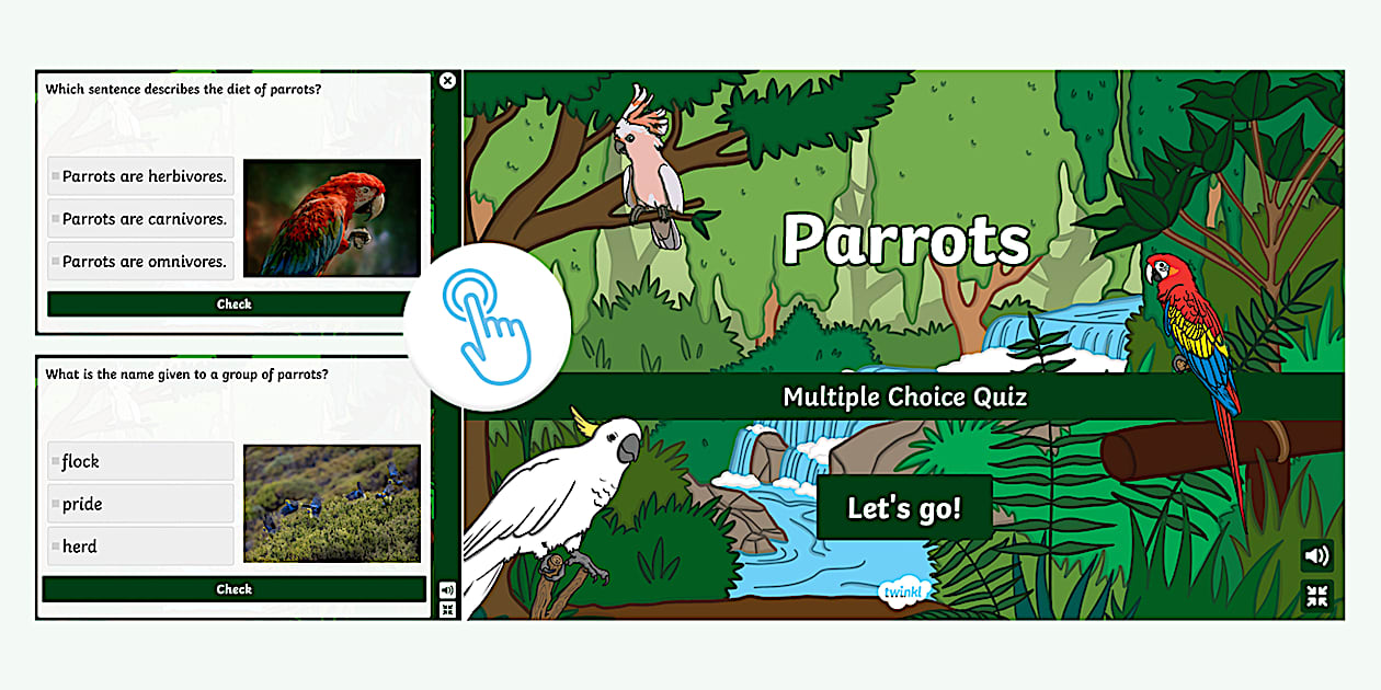 KS1 Parrots Interactive Quiz (teacher made) - Twinkl