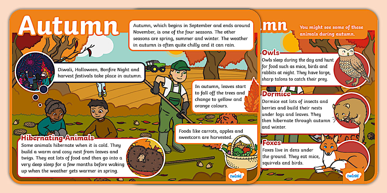 Autumn Animals Fact File: Free Autumn Facts for Kids
