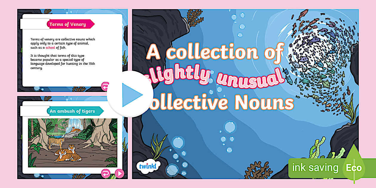 Slightly Unusual Collective Nouns List PowerPoint | Twinkl