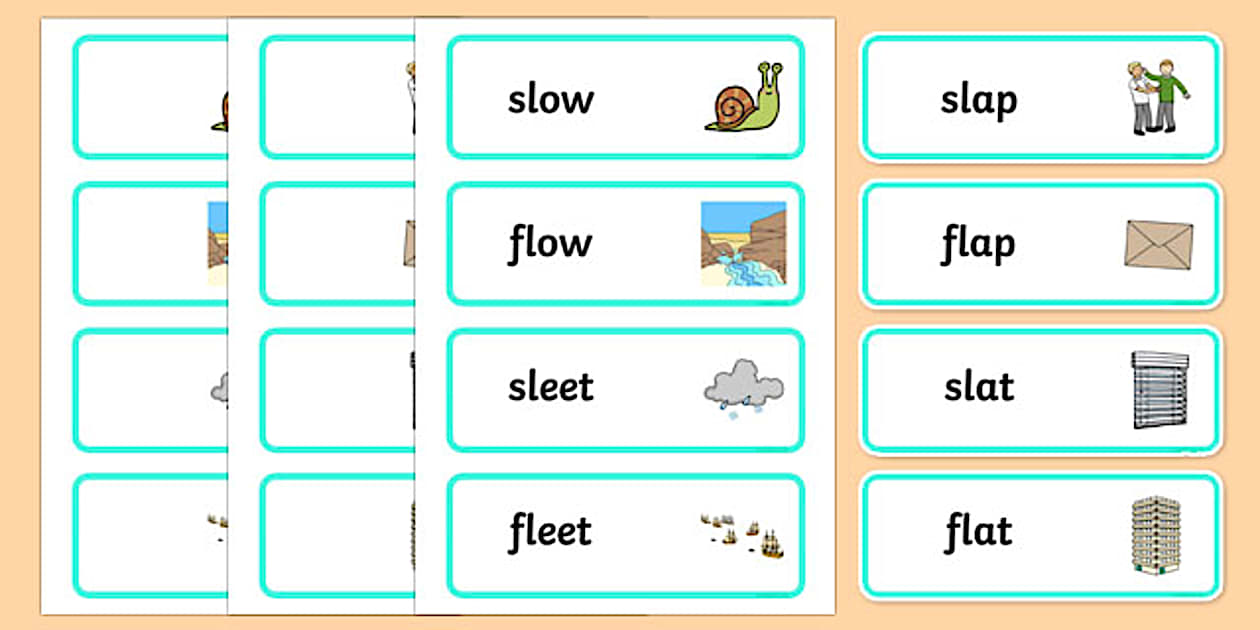 'sl' and 'fl' Cluster Contrast Word Cards (teacher made)