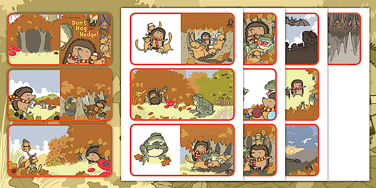 Don't Hog the Hedge! Story Sequencing Cards (teacher made)