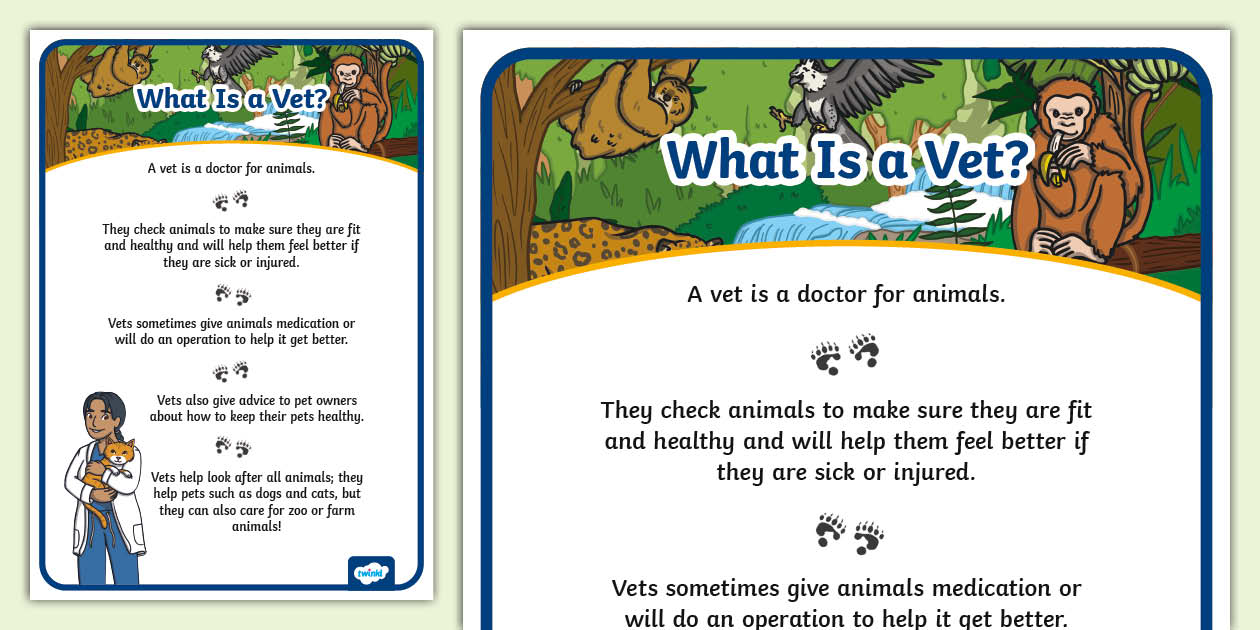 What Is a Vet? Display Poster - Twinkl Display - Twinkl