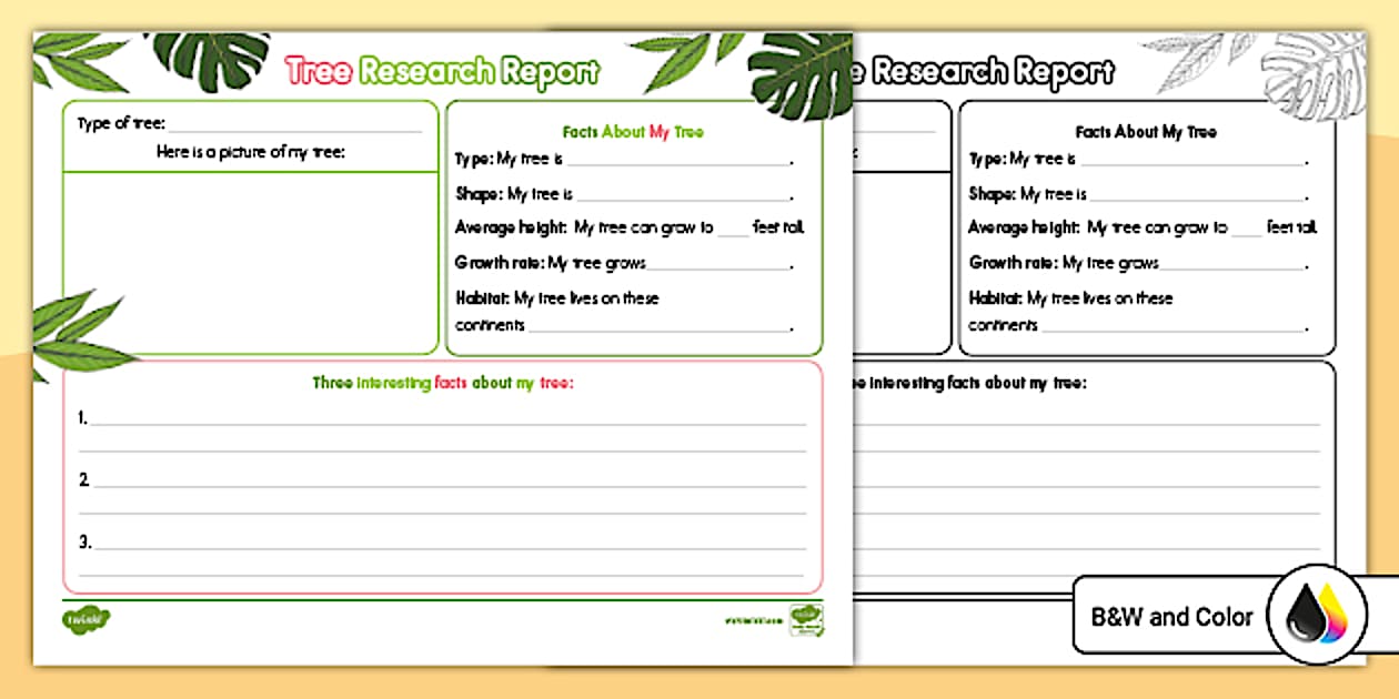 Tree Research Worksheet Template for 1st & 2nd Grade